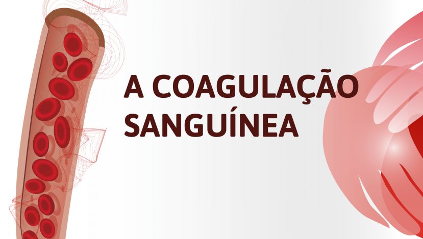 coagulacao-sanguinea | Unidos pela Hemofilia